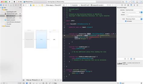 Ios Delegateprotocols Passing Data From One View Controller To