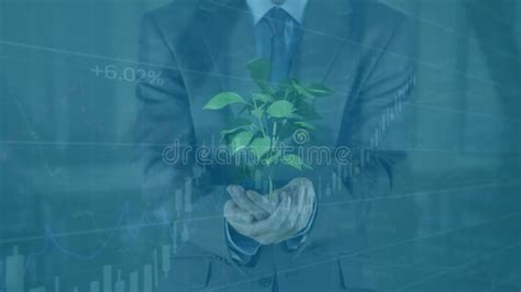 Animation Of Data Processing Over Businessman Holding Plant Stock Footage Video Of Business