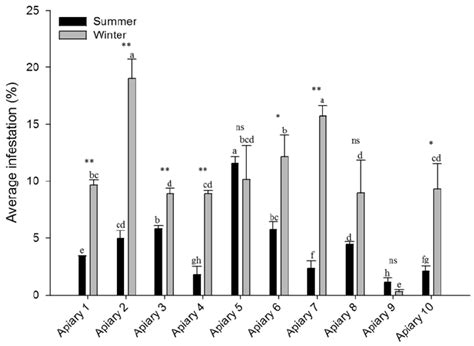 Infestation Rate Of Varroa Destructor In Adult Bees From The Different Download Scientific