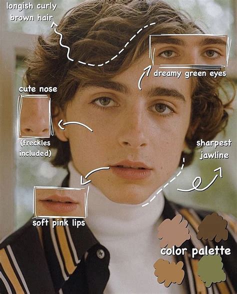 Timothée Chalamet On Instagram A Dreamy Face 😌” Pink Lip Color Eye