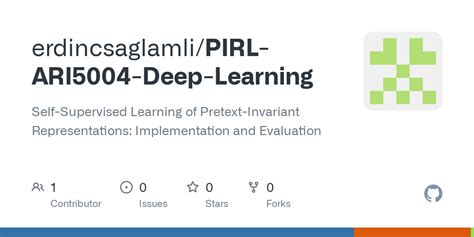 github erdincsaglamli pirl ari5004 deep learning self supervised