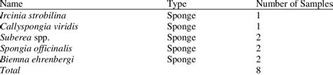 Sponge Classification Download Table