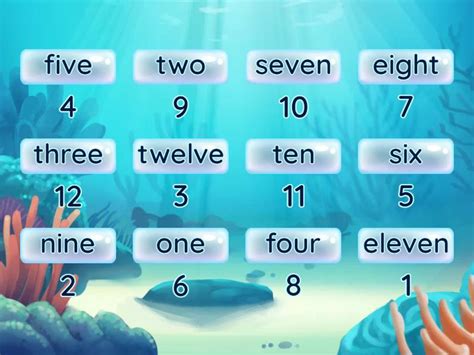 12 Numbers 1 12 Desliar 12 Numbers 1 12 Desliar