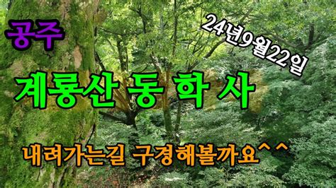 공주동학사계룡산국립공원여행충청도여행가을여행지추천가을여행지가을 Youtube
