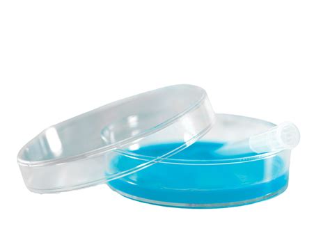 In Vitro Models Research Tools For Gut Organs Interactions