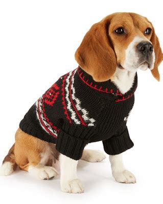 Shawl Collar Sweater