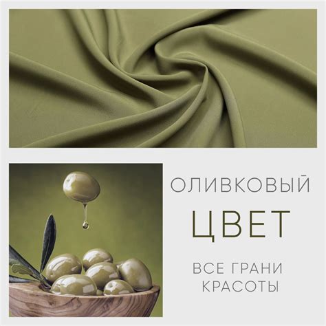 Оливковый цвет все грани красоты