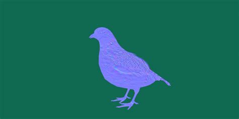Masked Bobwhite Quail Bird 3d Model By Nyilonelycompany