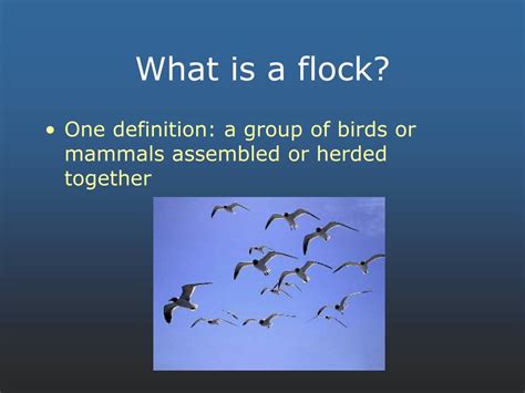 Ppt Flocking And Group Behavior Powerpoint Presentation Free