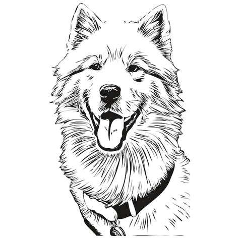Samoyed Pies Czarny Rysunek Wektor Na Białym Tle Malowanie Twarzy Szkic