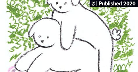 Coronavirus And Sex Questions And Answers The New York Times