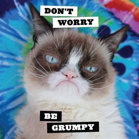 35 Hilarious Grumpy Cat Memes That Capture Your Inner Sass