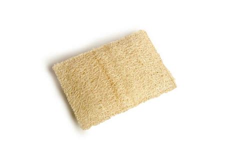 Shop Kitchen Loofah Online Egexo
