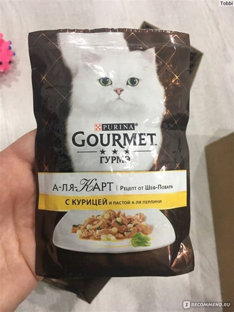 Из чего состоят корма Гурмэ для котов: как правильно давать Gourmet кошкам