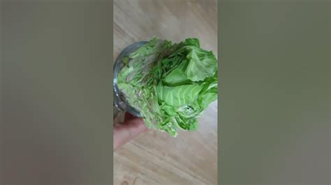 양배추 한통 다먹지 말고 남겨서 이렇게 하세요 Youtube