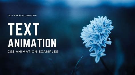 Css Text Background Clip Animation Css Animation Examples Youtube