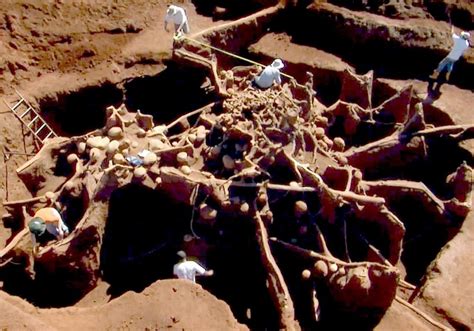 Ant Colonies To Brains How Complex Systems Rule The World Terry Pang