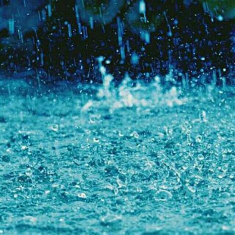 胡天禹的ai梅花易数分析平台 胡帅某の破占卜小地