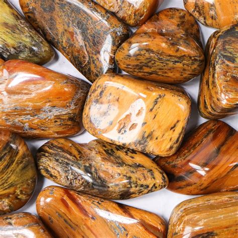 Opalized Wood Crystal Healing Properties Meaning And Uses