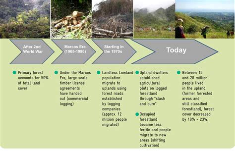 Reasons For Decline In Forest Cover