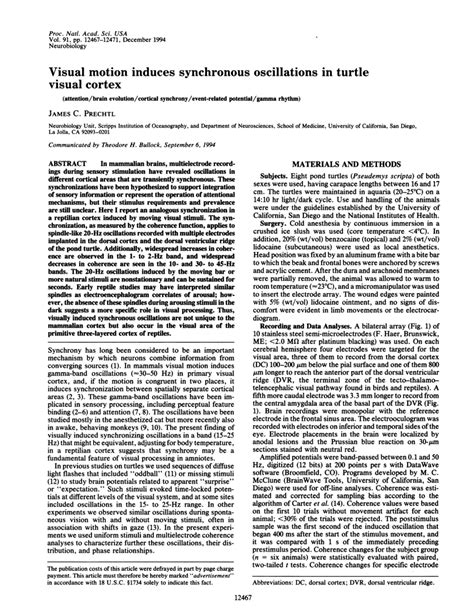 Pdf Visual Motion Induces Synchronous Oscillations In Turtle Visual Cortex