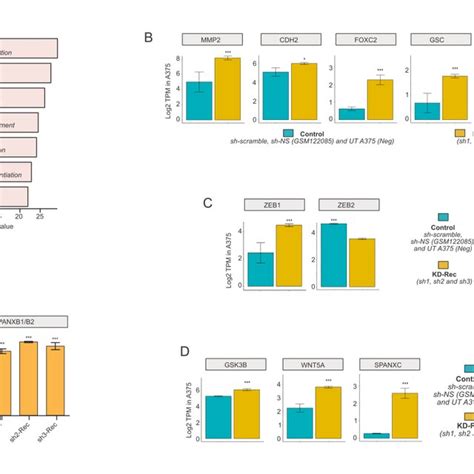 A Heatmap Visualization Of Scaled Expression Log Tpm Transcripts