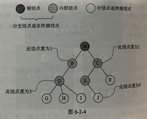 《大话数据结构》学习笔记大话数据结构 笔记 Csdn博客