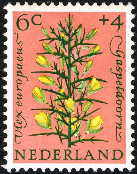 35 Lesbian Stamp Flag Ideas Stamp Postage Stamps Stamp Collecting