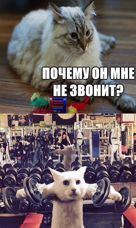 СПОРТ ЭТО ЖИЗНЬ опубликовал пост от 8 декабря 2017 в 03 54 Фотострана Пост №1565647637