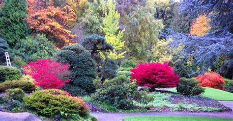 Native Plants That Live Philippines Countries Megadiverse Worldatlas