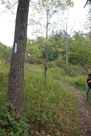 Short Hills Provincial Park Thorold All You Need To Know Before You
