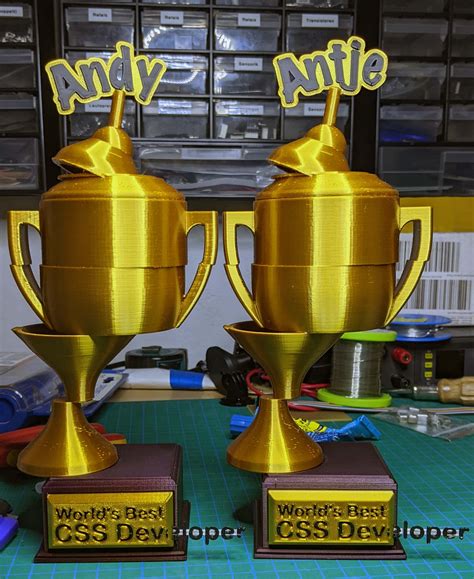 Trophy Worlds Best Css Developer Glueable Lid Edition By Flazer