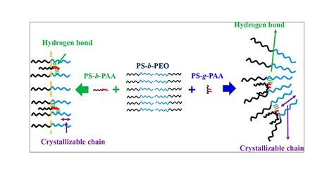 Hydrogen Bonding Induced Co Ordering And Interfacial Curvature