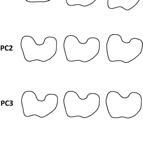 Shape Variability Explained By The Significant Principal Components Of