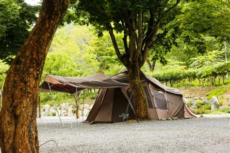 하얀여울캠프 강원도 영월군 가볼만한곳