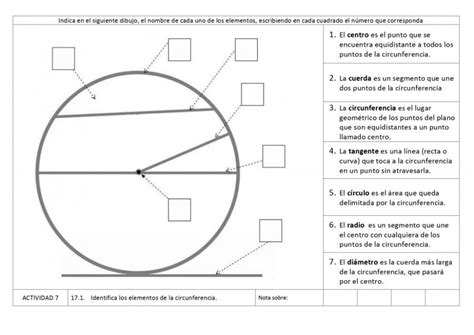 Circulo Exercise Artofit