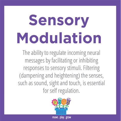 Sensory Modulation Discrimination Visual Motor Output Brain