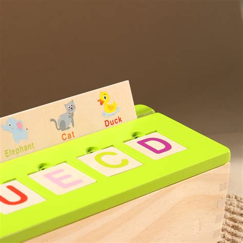 Knowledge Classification Box Montessori Toy Crafted Woodies