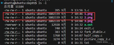 Linux下利用文件io函数完成多进程复制图片，父进程复制前一半，子进程复制后一半多进程拷贝demolinux Csdn博客