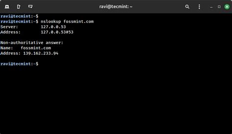 Cómo Instalar Y Usar Dig Y Nslookup En Linux Muylinux