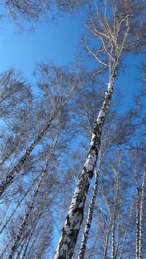 Весна уже близко… Наш маленький дружок заставляет поднять пятую точку и