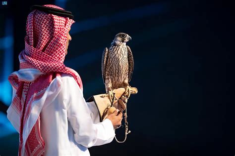 بيع فرخ شاهين بـ ١٦٦ ألف ريال في أولى ليالي مزادناديالصقورالسعودي