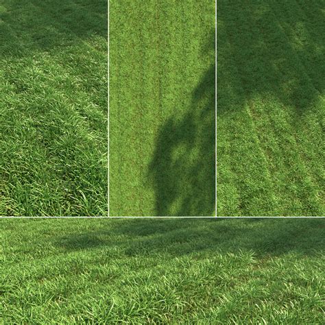 Regular Grass Grass 3d Model