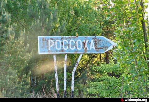 Rasocha