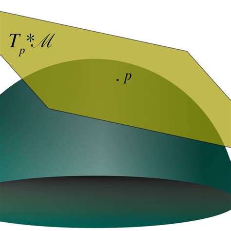 Manifold M And The Corresponding Tangent Space Tpm At Point P At Each