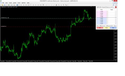 Is There A Way To Access Partial Close Function In Mt4 Interface Trading Positions General