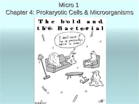 ppt chapter 4 prokaryotic profiles micro 1 dokumen tips