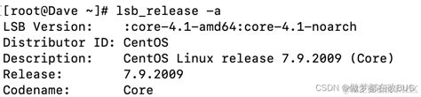 Python项目 以docker形式打包部署全流程python打包docker Csdn博客