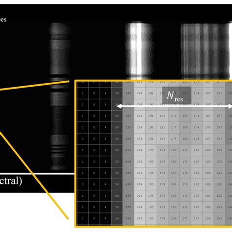 An Example Of A Spatio Spectral Snapshot Was Captured By The Developed
