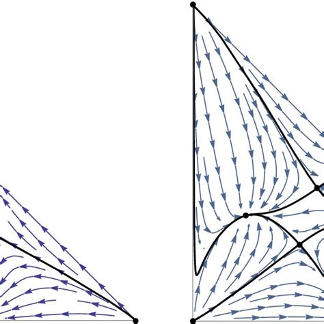 Projected Ricci Flow Of Type Ii Left And Type I Right Download